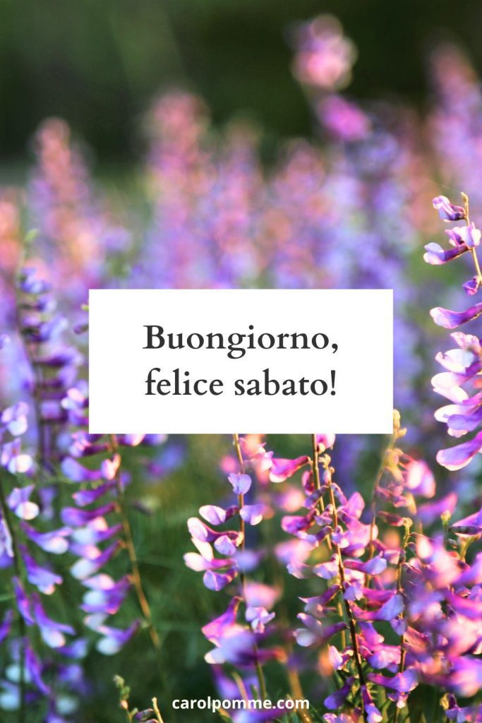 Buongiorno buon sabato, immagini e frasi da inviare nel 2026 - Carol Pomme